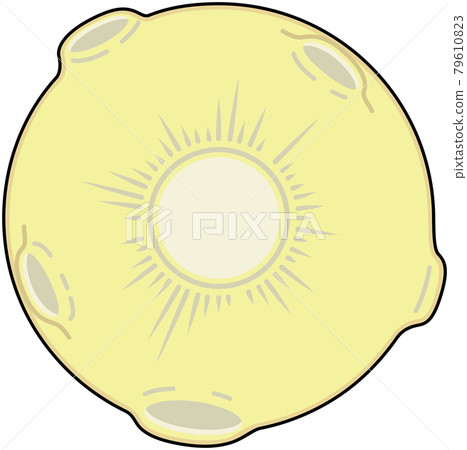Moon full of craters (with outline) - Stock Illustration [79610823] - PIXTA
