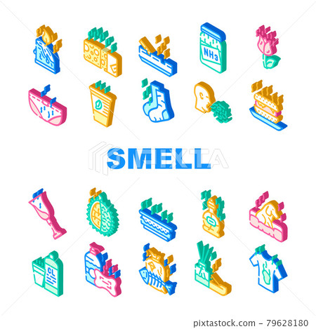 Smell Feel And Sense Collection Icons Set Vector - Stock Illustration ...