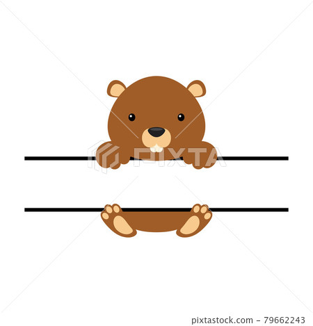 Split Beaver