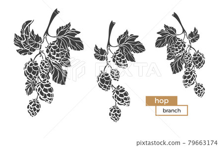 set_branch_shape.eps - Stock Illustration [79663174] - PIXTA