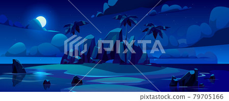 Vector night tropical island in ocean - Stock Illustration [79705166 ...