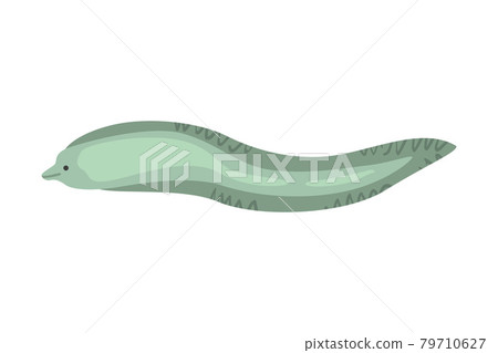 Eel Underwater Ocean Sea Creature Cartoon... - Stock Illustration ...