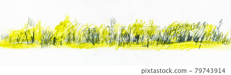 hand-drawn panoramic view of undergrowth in summer - Stock Illustration ...