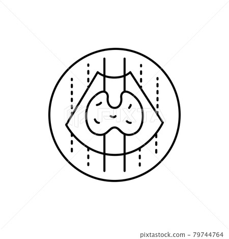 Endocrinology color line icon. Pictogram for... - Stock Illustration ...