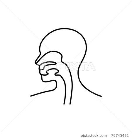 Human organ esophagus color line icon.... - Stock Illustration ...