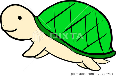 可愛的烏龜-插圖素材 [79778604] - PIXTA圖庫