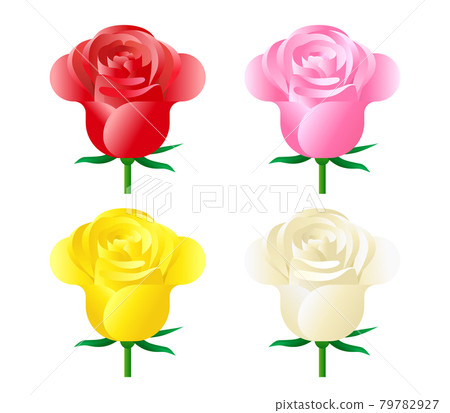 Four color roses - Stock Illustration [79782927] - PIXTA