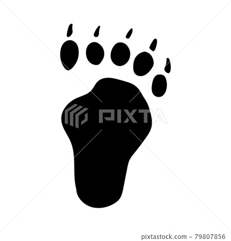 Bear footprints (hind legs) - Stock Illustration [79807856] - PIXTA