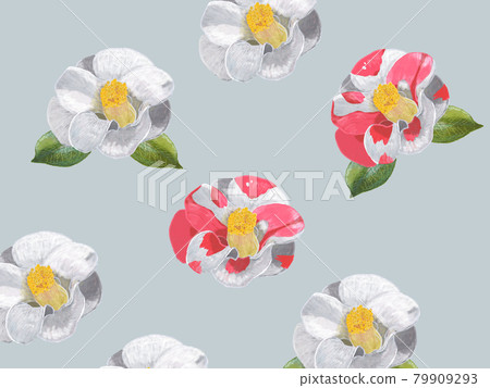Mottled and white camellia pattern light blue... - Stock Illustration ...