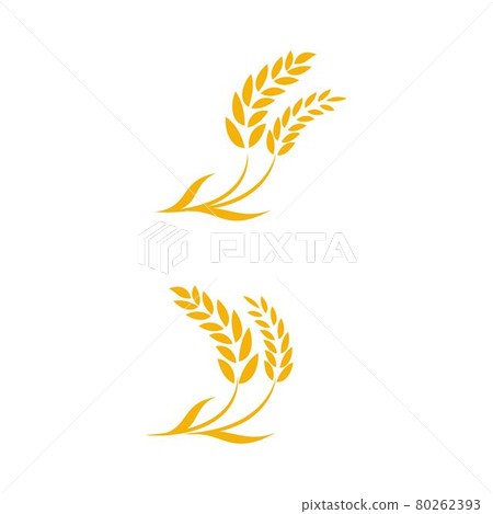 Agriculture wheat rice vector icon design - Stock Illustration ...