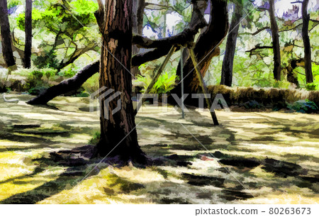 Dark shadow are thrown inbetween trees in a park - Stock Illustration ...