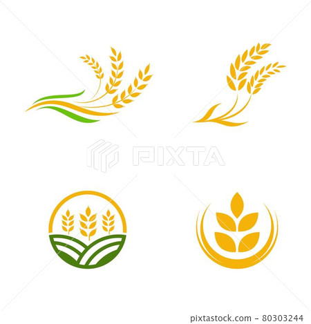 Agriculture wheat rice vector icon design - Stock Illustration ...