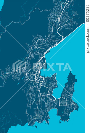 Detailed map of Wellington city, linear print... - Stock Illustration ...