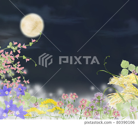 Autumn seven herbs night scenery - Stock Illustration [80390106] - PIXTA