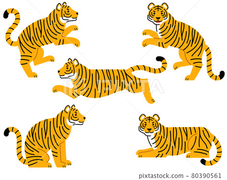Tiger pose illustration set (stand up, run,... - Stock Illustration ...