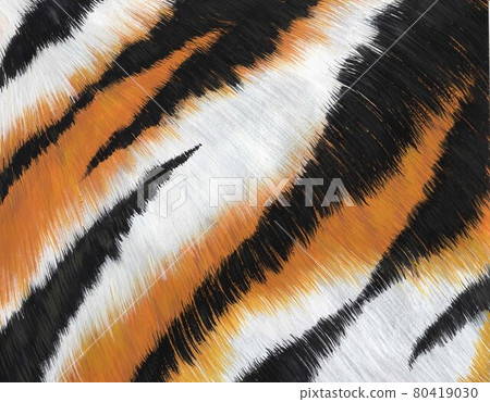 Tiger hair - Stock Illustration [80419030] - PIXTA