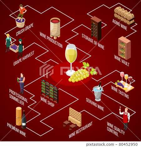 Wine Production Isometric Flowchart - Stock Illustration [80452950] - PIXTA