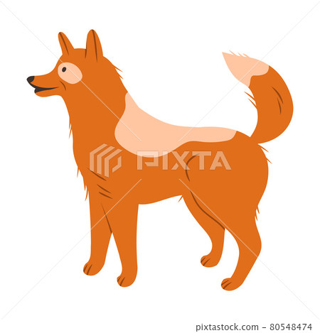 Ginger Dog as Domestic Pet in Standing Pose... - Stock Illustration ...
