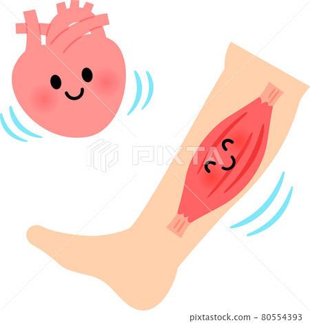 Heart and calf muscle character - Stock Illustration [80554393] - PIXTA