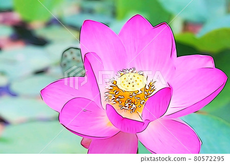 Pastel-like "Hasu no Hana" illustration image - Stock Illustration ...