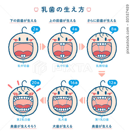 Illustration of the process of deciduous teeth... - Stock Illustration ...