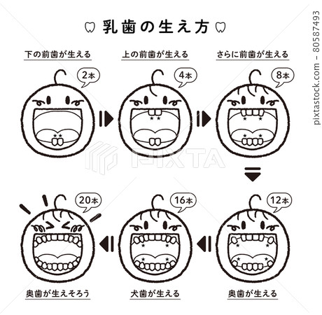Illustration of the process of deciduous teeth... - Stock Illustration ...