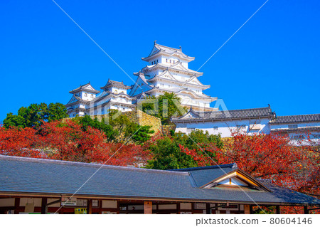 Himeji castle in autumn - Stock Photo [80604146] - PIXTA