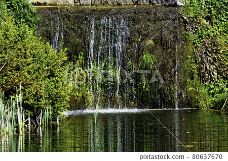 Octagons In Nature JPEG | Nature, Animals, & Random Fun Facts | The