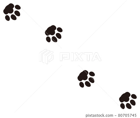 Animal footprints Cat footprints - Stock Illustration [80705745] - PIXTA