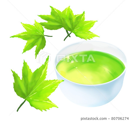 Kaede and green tea - Stock Illustration [80706274] - PIXTA