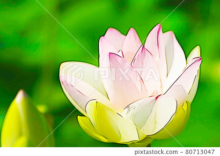 Pastel-like "Hasu no Hana" illustration image - Stock Illustration ...