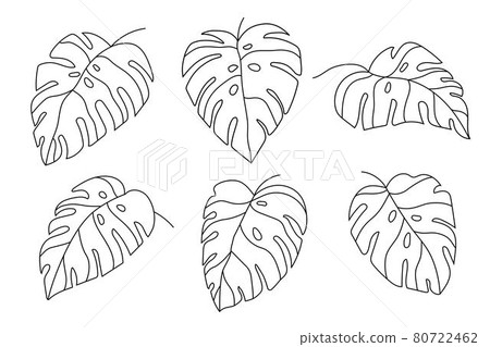Simple line drawing monstera leaf set - Stock Illustration [80722462 ...