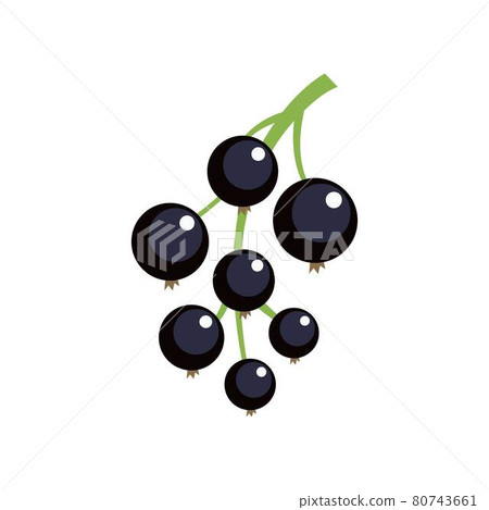 Blackcurrant icon flat isolated vector - Stock Illustration [80743661 ...