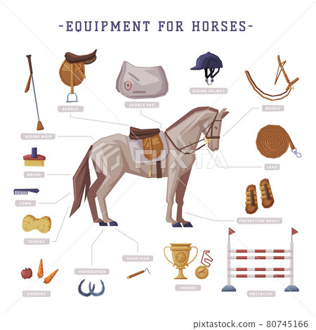 Equipment for Horses Set, Horse Riding... - Stock Illustration ...