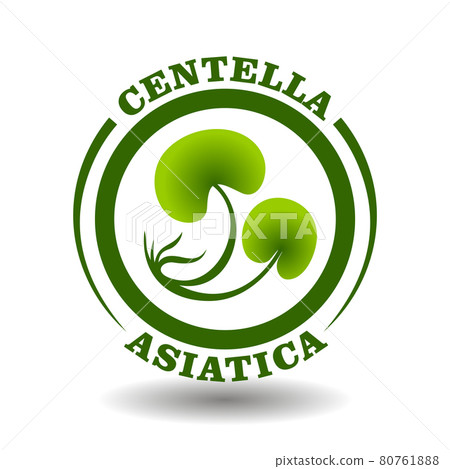 Vector circle logo Centella Asiatica with green... - Stock Illustration ...