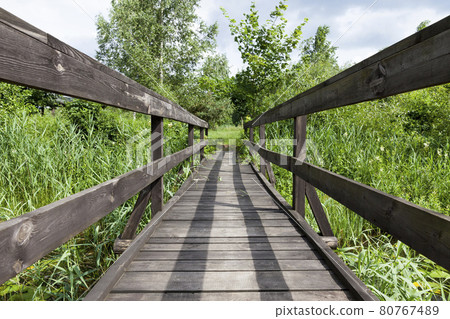 Plank Bridge Wood Lake Wooden Plank Bridge Over Water In Forest In