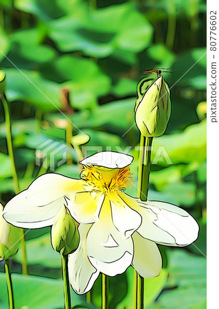 Pastel-like "Hasu no Hana" illustration image - Stock Illustration ...