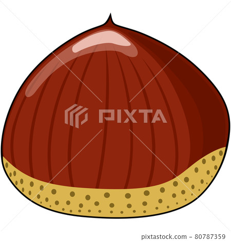 Chestnut illustration (with outline) - Stock Illustration [80787359 ...