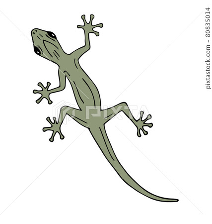 Vector hand drawn doodle sketch colored lizard - Stock Illustration ...