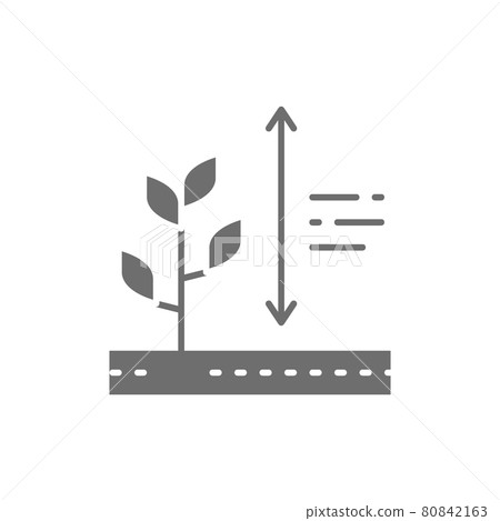 Vector plants growing, plant height grey icon. - Stock Illustration ...