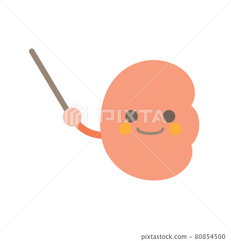Pointer kidney smile - Stock Illustration [80854500] - PIXTA