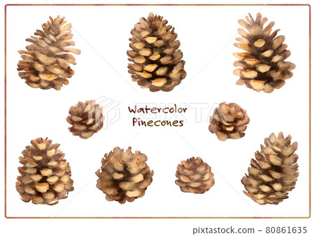 Pine cone autumn watercolor illustration - Stock Illustration [80861635 ...