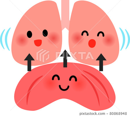 Diaphragm and lung characters during exhalation - Stock Illustration ...