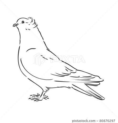Realistic hand drawn dove. Vector illustration... - Stock Illustration ...