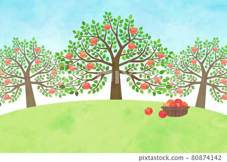 Apple hunting - Stock Illustration [80874142] - PIXTA