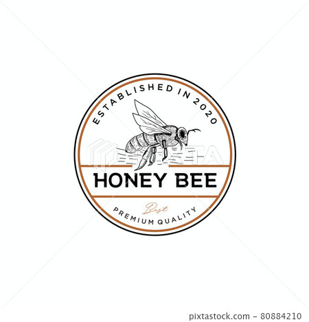 Vintage rustic BEE, honey bee logo badge emblem...-插圖素材 [80884210 ...