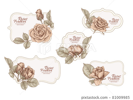 Set of vintage labels with rose flowers. - Stock Illustration [81009985 ...