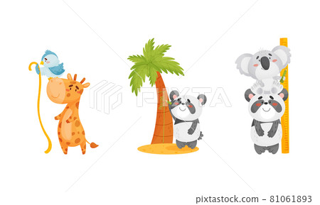 Adorable animals measuring height set. Cute... - Stock Illustration ...