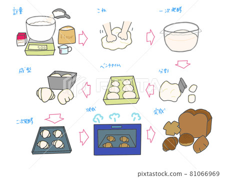 Bread making process - Stock Illustration [81066969] - PIXTA