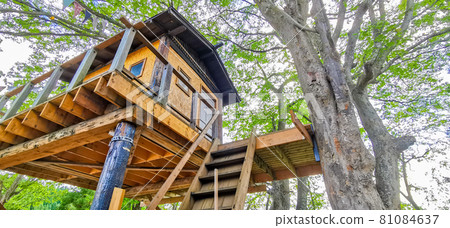 Diy Huge Tree House 15+ Epic DIY Treehouse Ideas That Will Blow Your